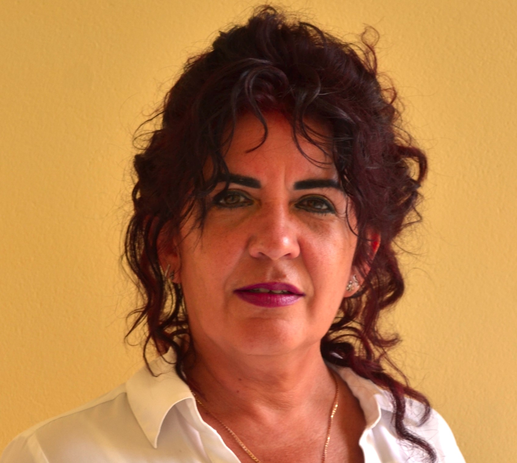 Una mirada a la UCMH - UCMHabana